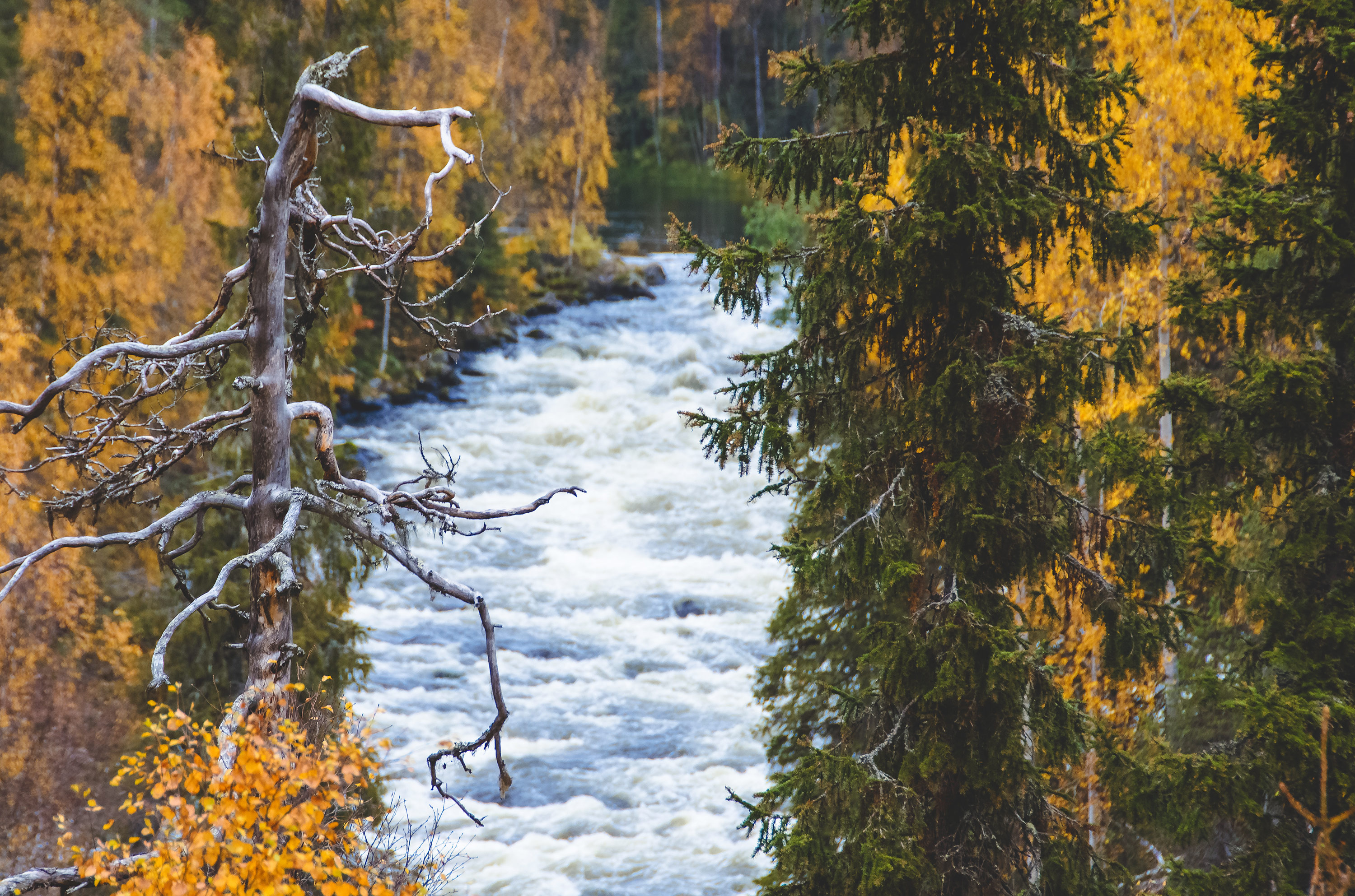 Kuusamo | Ikaalisten Matkatoimisto